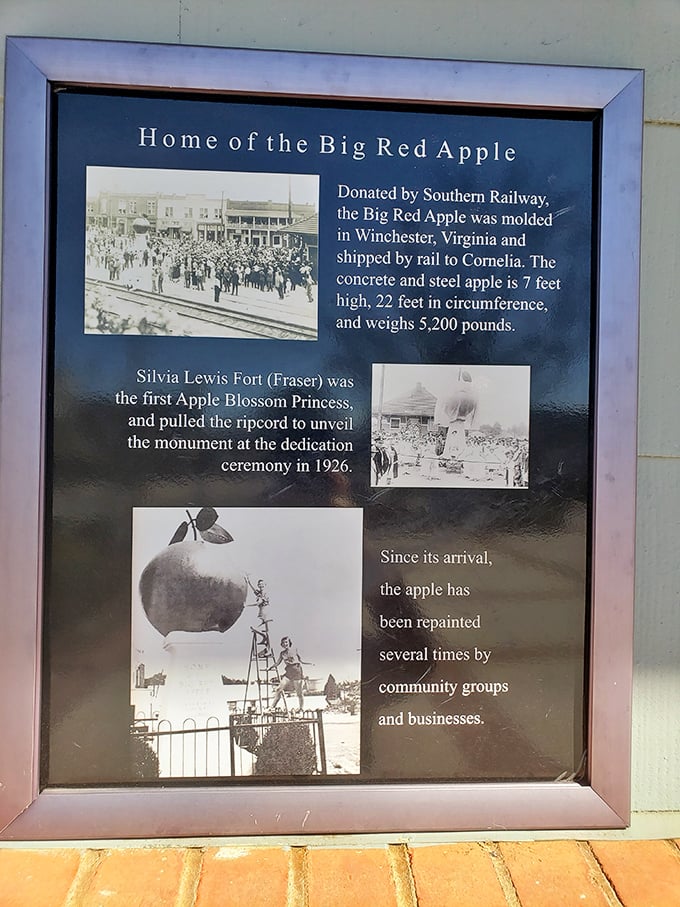 History buffs rejoice! This informative plaque reveals the apple's journey from Virginia to Georgia—a fruit migration story for the ages.