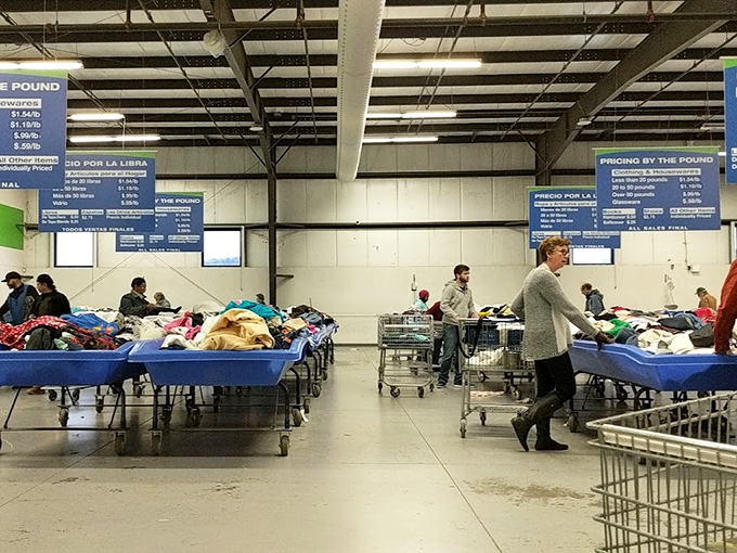 The arena of affordable abundance where seasoned bargain hunters circle blue bins like sharks at feeding time. This is the Olympics of thrifting, and everyone's going for gold.