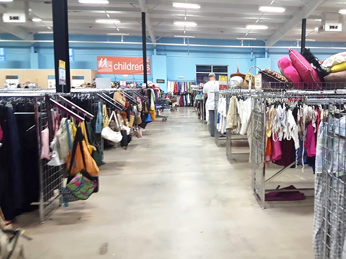 Aisles wide enough to dance through—a refreshing change from those vintage shops where you need to turn sideways just to browse without knocking something over.