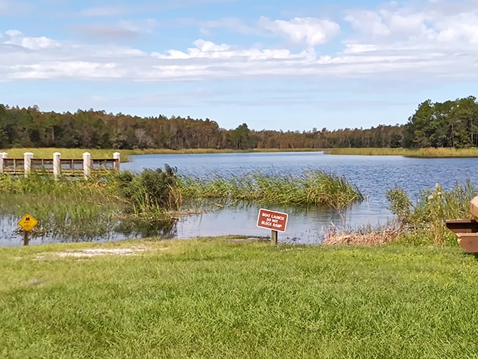 Mirror-like waters reflect Florida's endless sky, proving that the best infinity pools aren't at resorts but hidden in state parks.