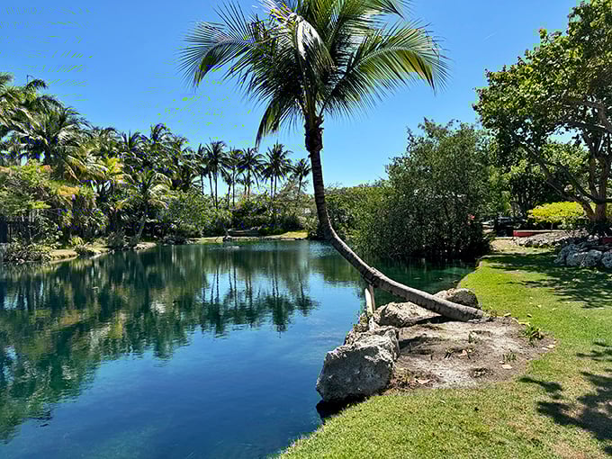 Mother Nature's reflecting pool captures palm fronds and blue skies, creating a moment of zen just steps from the Atlantic's playful waves.