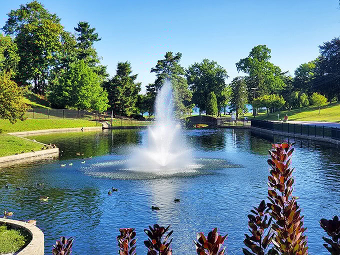 Lake Shore Park's fountain creates nature's own meditation app—no subscription required, just bring a bench and your thoughts.