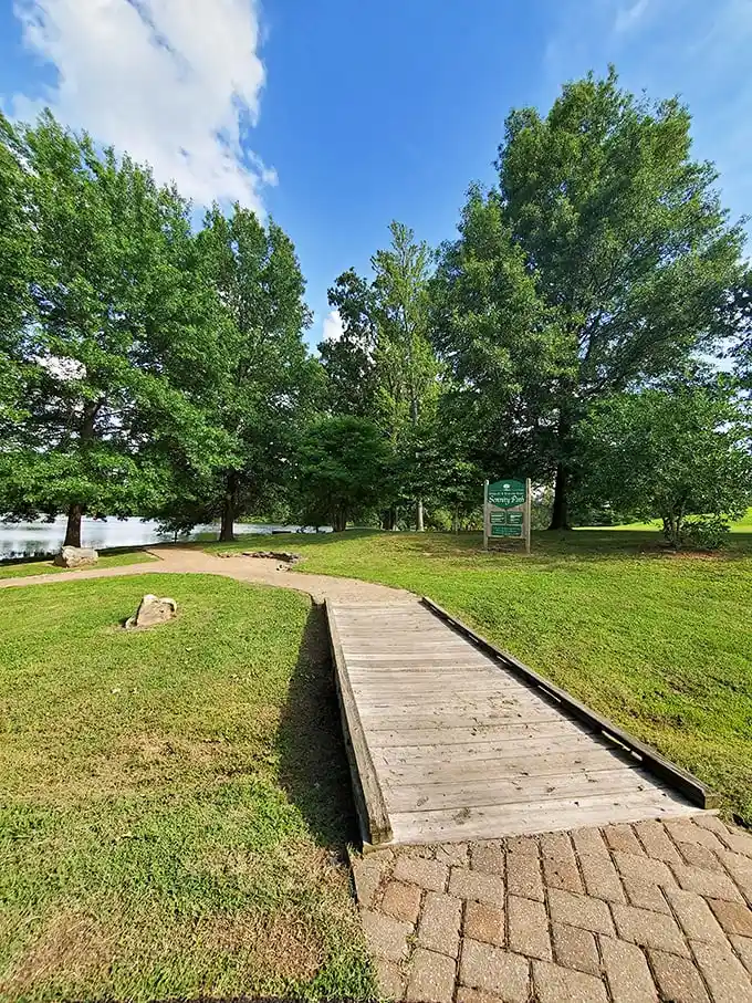 Nature's perfect landscaping job: wooden pathways leading to tranquil waters, where stress dissolves faster than sugar in sweet tea. 