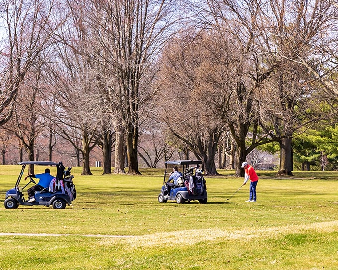 At Mattoon Golf & Country Club, retirement dreams come true on affordable greens where the biggest hazard is explaining your score to friends.