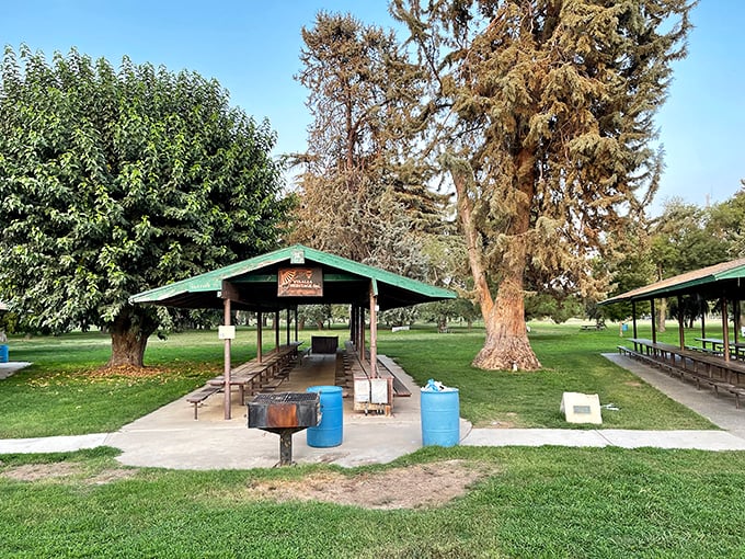 Picnic shelters at Mooney Grove Park invite multi-generational gatherings where grandparents share stories while kids chase squirrels.