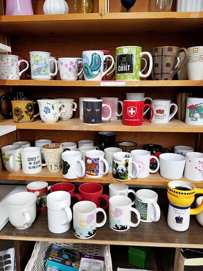 The mug wall – where coffee vessels retire to find second homes. That Swiss Red Cross cup has probably seen more of the world than most of us.