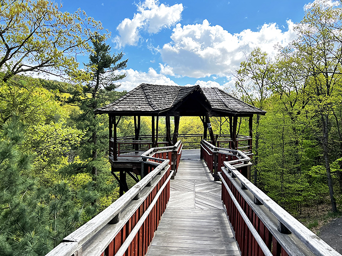 Nature trails within city limits mean exercise doesn't require a road trip—your knees will appreciate the convenience almost as much as you will.