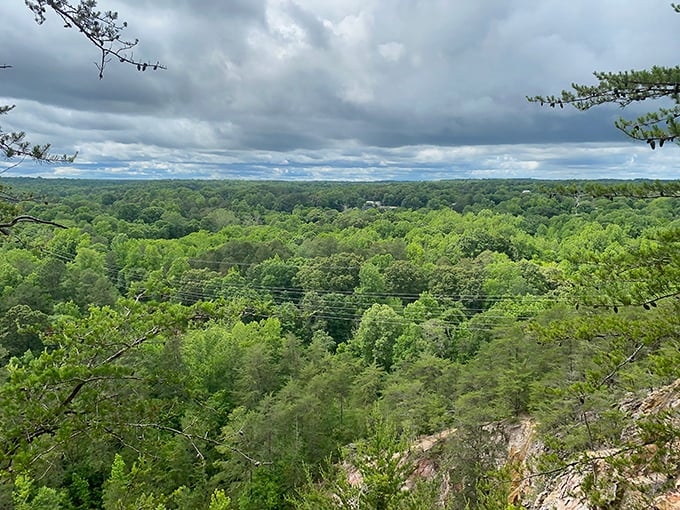 The view from Occoneechee Mountain stretches for miles, offering a lush green panorama that makes you forget you're just minutes from civilization.