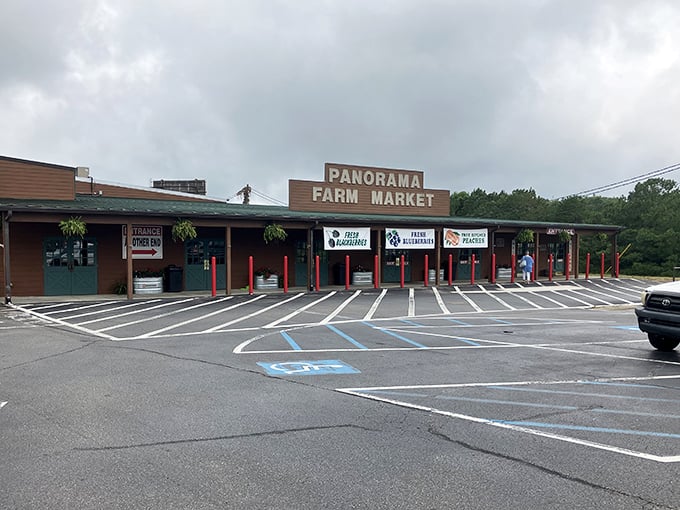 Panorama Farm Market isn't just a place to buy produce—it's where apples go to achieve celebrity status and pumpkins dream of becoming pies.