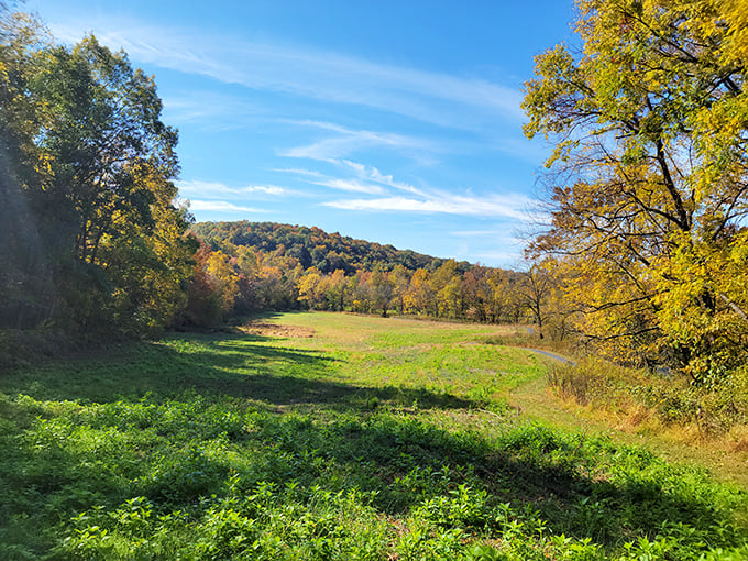 Mother Nature showing off her landscaping skills with this meadow vista—like Central Park without the taxi horns and pretzel carts.