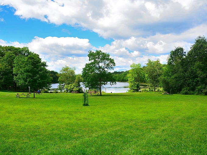 Lake Frances opens up like nature's welcome mat. Those picnic tables aren't just furniture—they're front-row seats to Pennsylvania's best show.