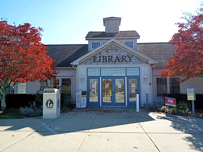 The public library, flanked by fiery maples, offers more than books—it's a community living room where your Social Security check stretches further than your reading list.