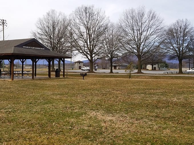 Community gathering spaces where locals swap stories and visitors become temporary neighbors.