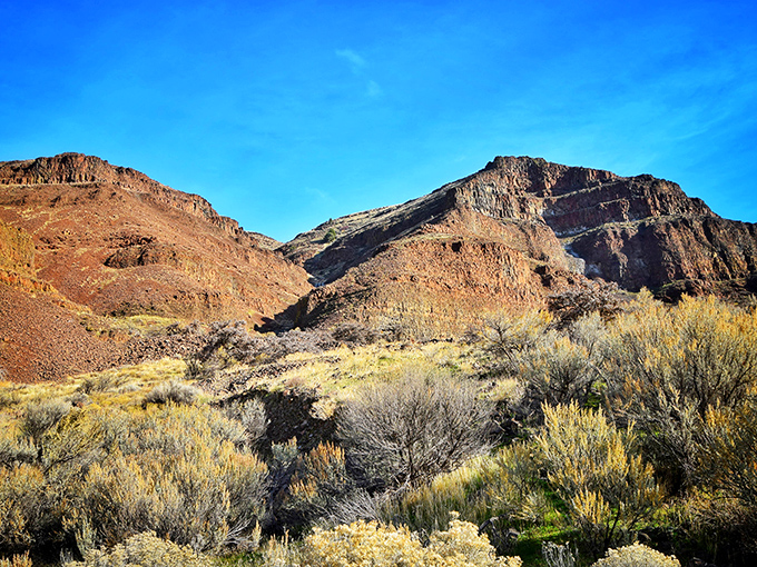 Nature's own cathedral of layered basalt and sagebrush, sculpted over millions of years when no one was rushing.