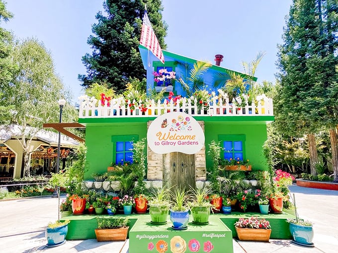 This vibrant green welcome center doesn't just say "hello"—it shouts it with color, charm, and enough flower pots to make your local nursery jealous.