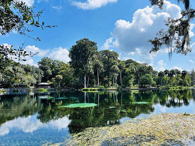 Mirror, mirror on the water—this pristine reflection could make Narcissus forget himself all over again. Florida's natural infinity pool doesn't need chlorine.