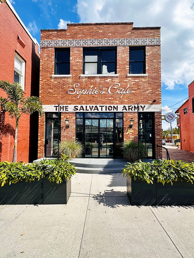 Sophie's Café breathes new life into this former Salvation Army building, serving up avocado toast that could convert even the most devoted bacon enthusiast.