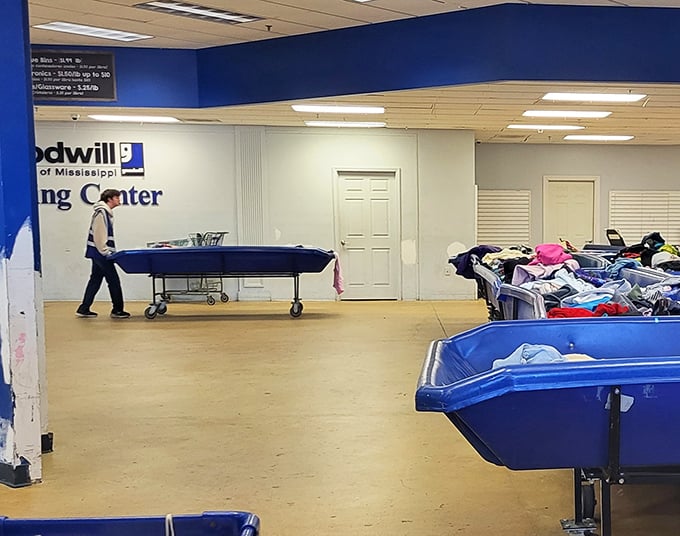 The changing of the guard: A staff member wheels in a fresh blue bin, triggering that familiar rush of adrenaline among seasoned thrifters ready for the next round.