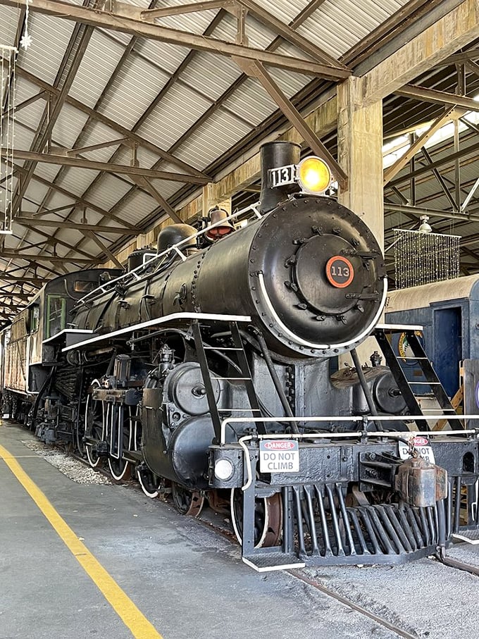 Steam Locomotive #113 commands attention with its imposing black frame and bright yellow headlight—like meeting a celebrity from transportation's greatest generation.