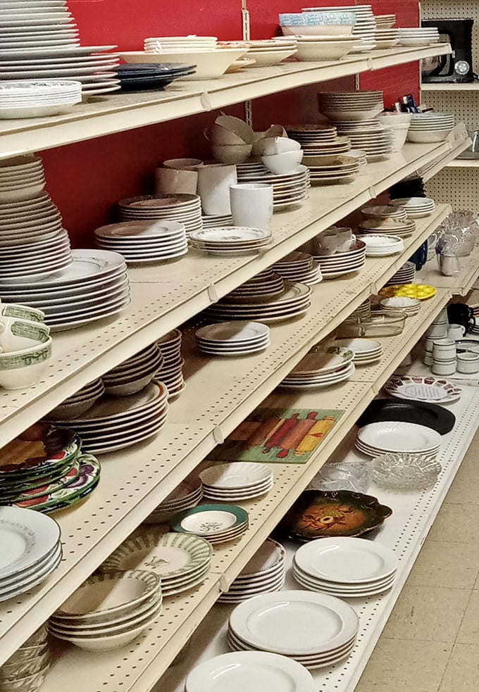Dish paradise! One person's castoff china is another's entertaining solution. Every plate tells a story – yours is just beginning.