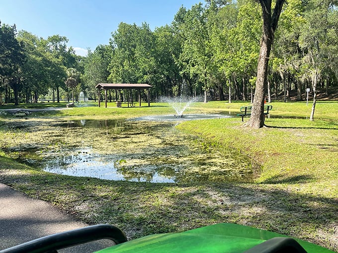 Tom Varn Park offers that quintessential Florida serenity – a fountain, a pavilion, and enough green space to forget your inbox exists.