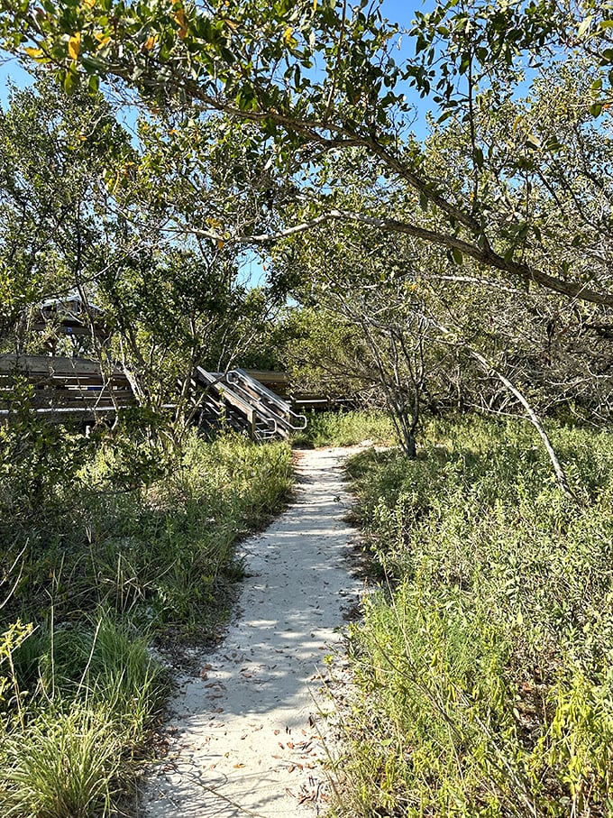 The boardwalk through Anne's Beach feels less like infrastructure and more like nature's invitation to "come a little closer."
