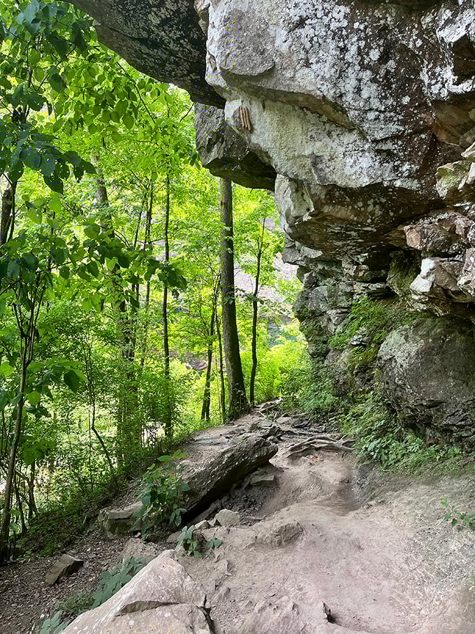 This trail doesn't just lead somewhere – it becomes part of the destination, with ancient rock formations creating nature's perfect frame for the journey ahead.