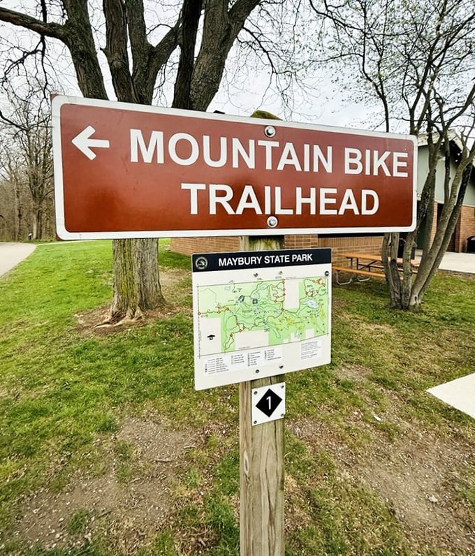 The mountain bike trailhead sign: where your inner child gets permission to play in the dirt again, but with better equipment this time.