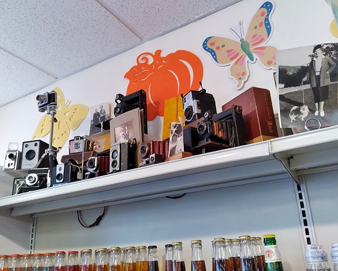 Vintage cameras and nostalgic collectibles create unexpected charm amid the shopping marathon. A quirky reminder of simpler, pre-selfie times.