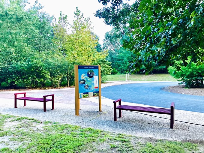 Even the waiting areas at Trap Pond are thoughtfully designed—these benches offer a moment to catch your breath before the next adventure.