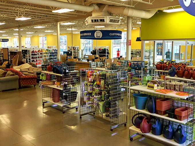 A colorful wonderland of household goods awaits, with everything from watering cans to furniture arranged in a shopper's paradise.
