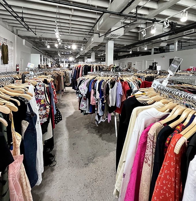 Rows of wooden hangers stretch endlessly, proving that secondhand shopping has officially entered its sophisticated era.