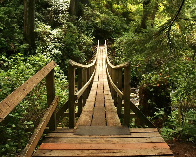 This suspension bridge isn't just a path—it's a portal between everyday life and coastal magic.
