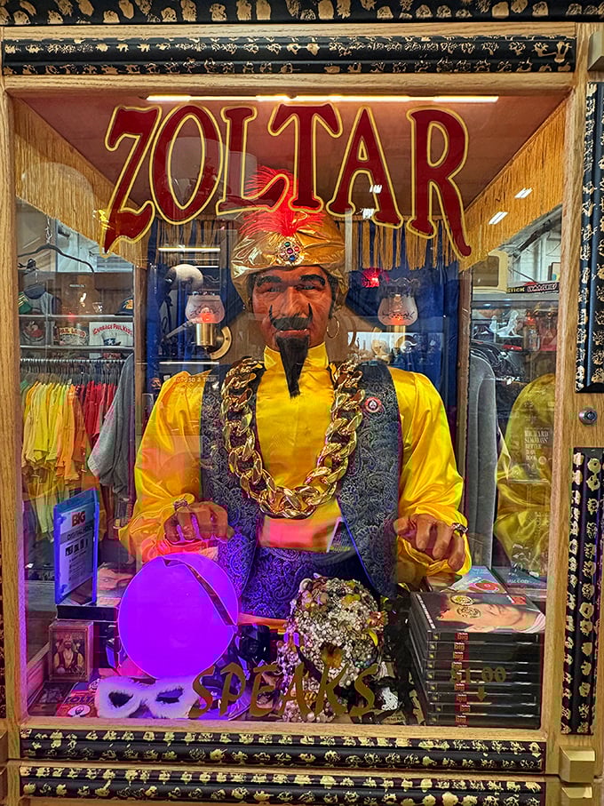 Meet Zoltar, the mystical fortune teller who's seen more decades than he's willing to admit. His predictions come with a side of nostalgia.