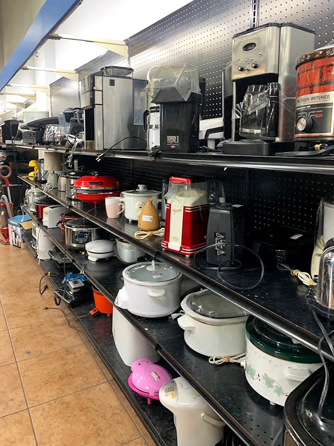 Kitchen dreams come true in the appliance section, where yesterday's high-end gadgets become tomorrow's culinary companions at wallet-friendly prices.