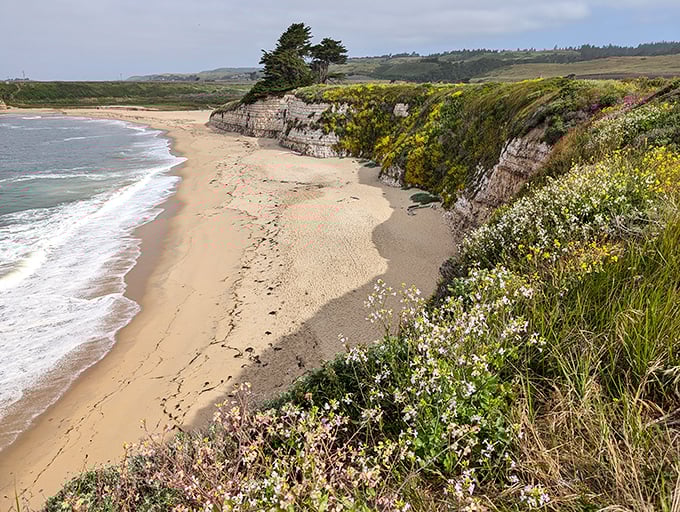 Golden sands meet limestone cliffs in this hidden pocket beach where you'll swear the ocean waves are applauding your excellent life choices.