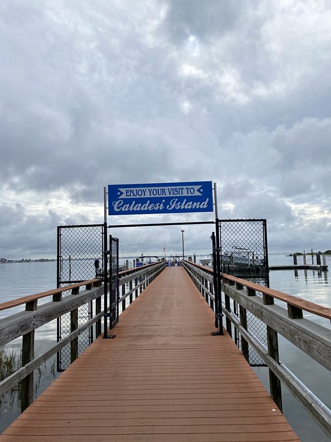 "Enjoy Your Visit" isn't just a sign—it's a promise. This gateway to Caladesi Island delivers on Florida's best-kept coastal secret.