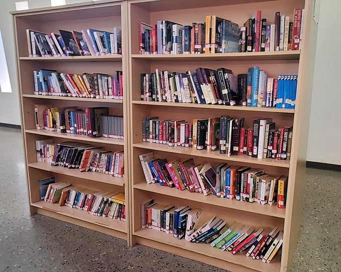 Literary treasures stacked with care—where bestsellers of yesteryear mingle with classics, all waiting for their next adventure with you.