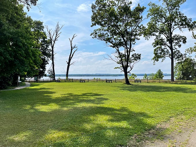 Picture-perfect picnic spots with million-dollar views that don't cost a penny—Mother Nature's version of oceanfront dining without the pretentious maître d'.