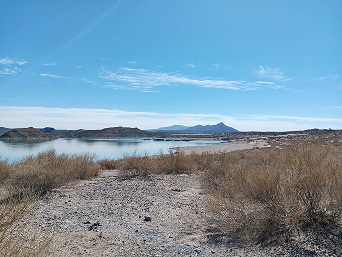 Nature's front-row seat to New Mexico's most impressive water feature. This trail offers views that'll make your Instagram followers think you've gone international.
