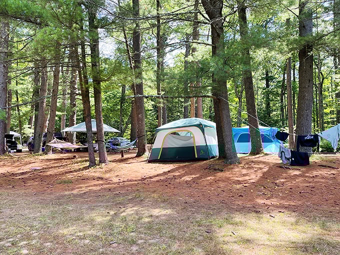 Camping among towering pines at Bear Brook feels like sleeping in nature's five-star hotel—minus the turndown service, plus a million stars overhead.