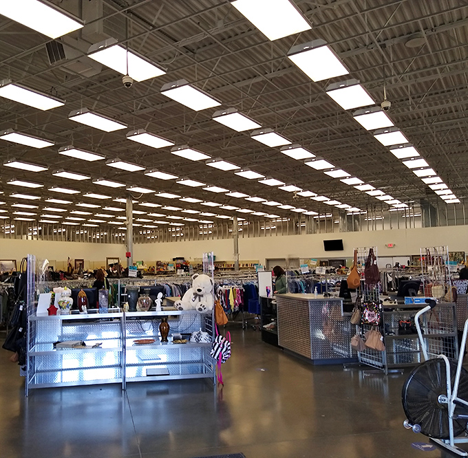 The vastness of this thrifter's paradise is truly something to behold—like stumbling upon the Narnia of secondhand shopping.