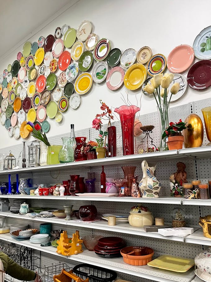 The wall of plates isn't just decor—it's a ceramic timeline of American dining history, from mid-century modern to yesterday's IKEA.