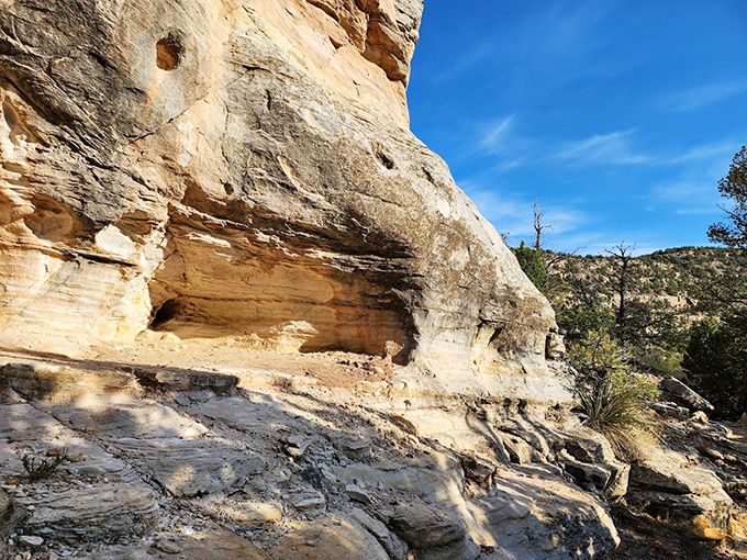 Sandstone formations tell geological stories millions of years in the making—like reading Earth's autobiography written in rock.