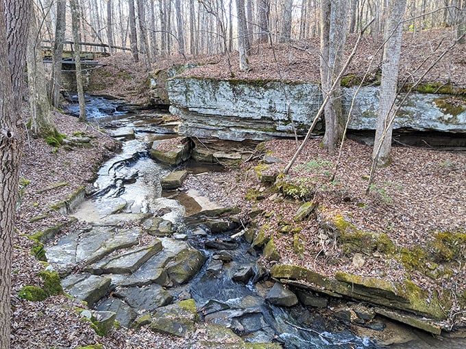 Where water meets stone in a geological dance millions of years in the making. Bear Creek's patient artistry carved this masterpiece one drop at a time.