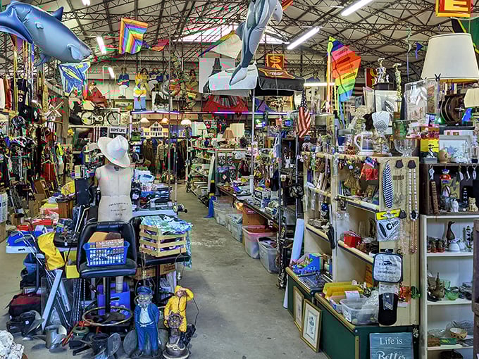 Step inside and prepare for sensory overload—inflatable dolphins swim through the air while vintage treasures create narrow pathways of possibility below.