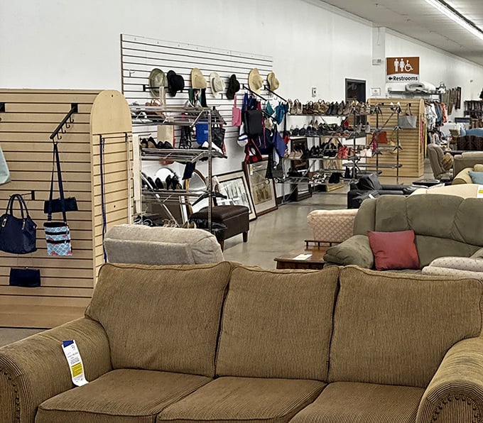 Where sofas meet shoes in perfect harmony. This isn't just shopping—it's a scavenger hunt with comfort prizes.