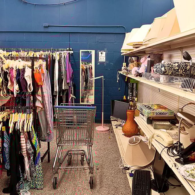 The thrill of the hunt begins here – racks of potential treasures await while a shopping cart stands ready for your next great discovery.