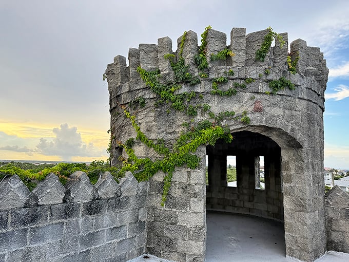 Game of Thrones, eat your heart out! This ivy-draped tower lookout offers the perfect spot for contemplating life's big questions—or planning your kingdom.