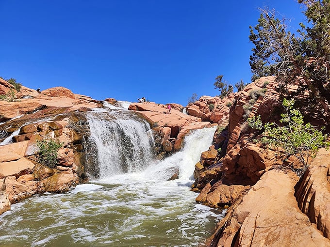 Who needs Niagara when Utah delivers this red rock waterfall spectacle? Spring runoff transforms Gunlock's spillway into nature's own water park.